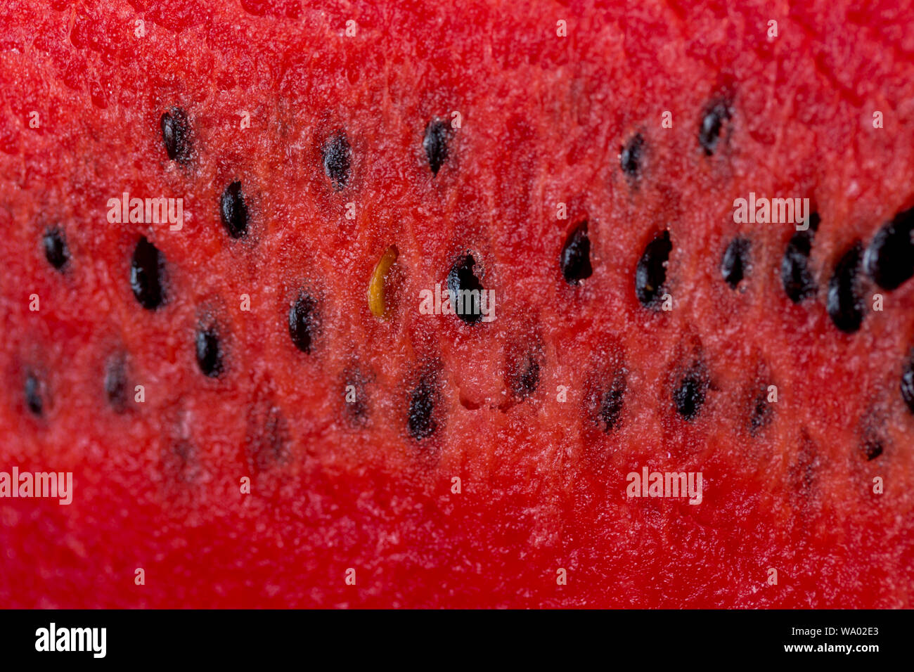 background with watermelon and beans Stock Photo - Alamy