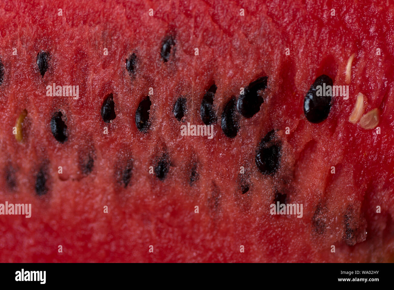 background with watermelon and beans Stock Photo - Alamy