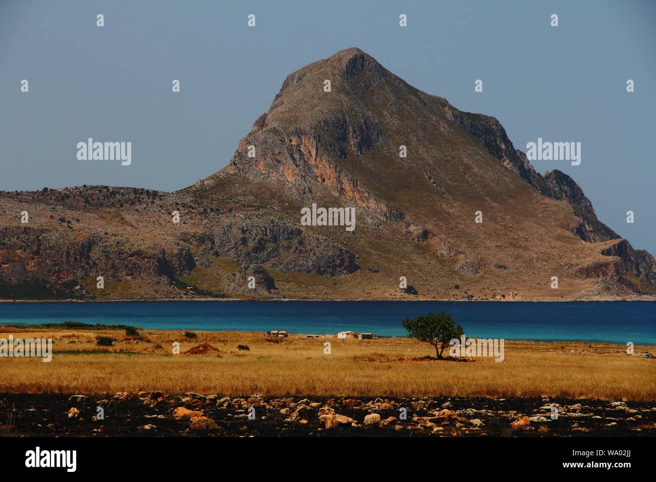 Dry grassy field with a tree near the water with a mountain in the ...