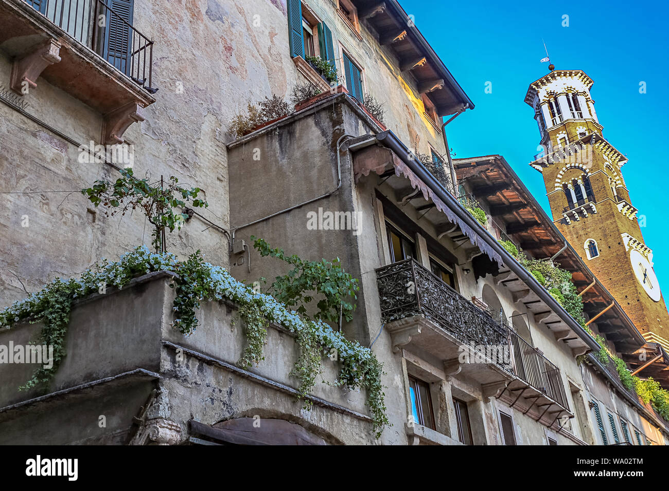 windows in the facades of ancient Venetian houses Stock Photo - Alamy