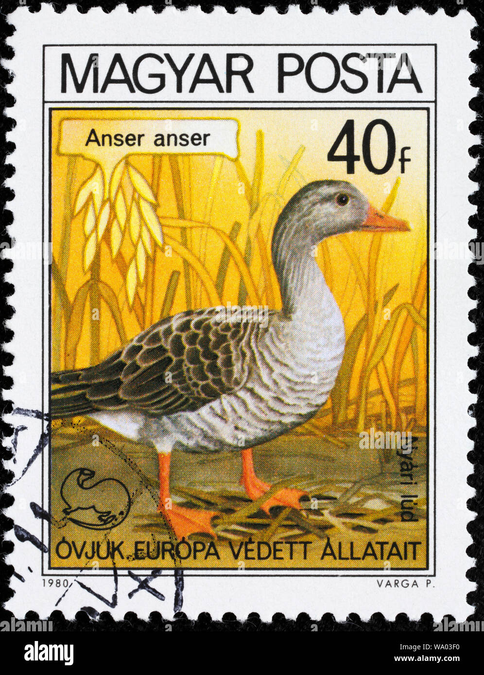 Goose stamp hi-res stock photography and images - Alamy
