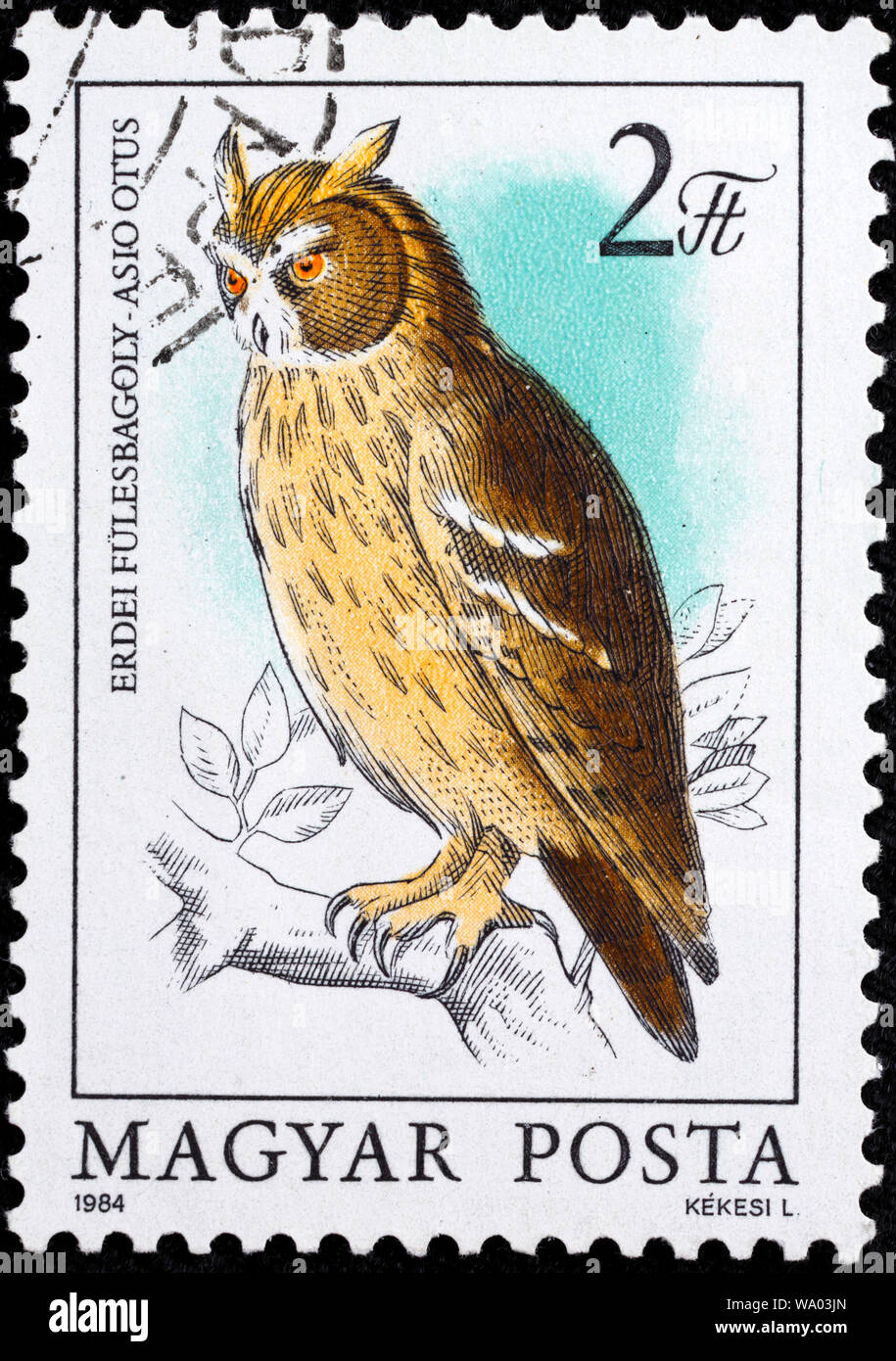 Long-eared Owl, Asio otus, postage stamp, Hungary, 1984 Stock Photo - Alamy