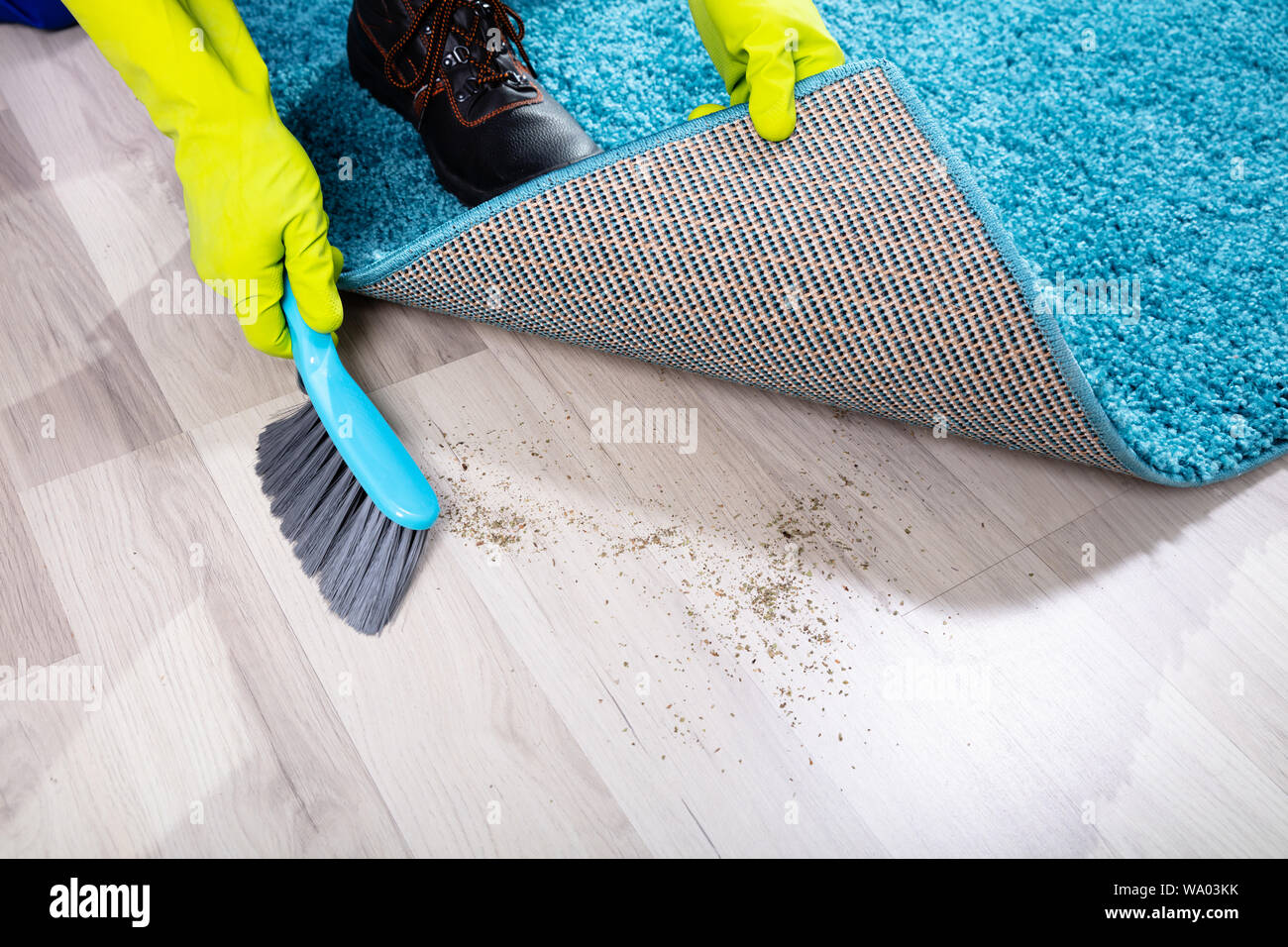 Synonym Sweep Under The Rug