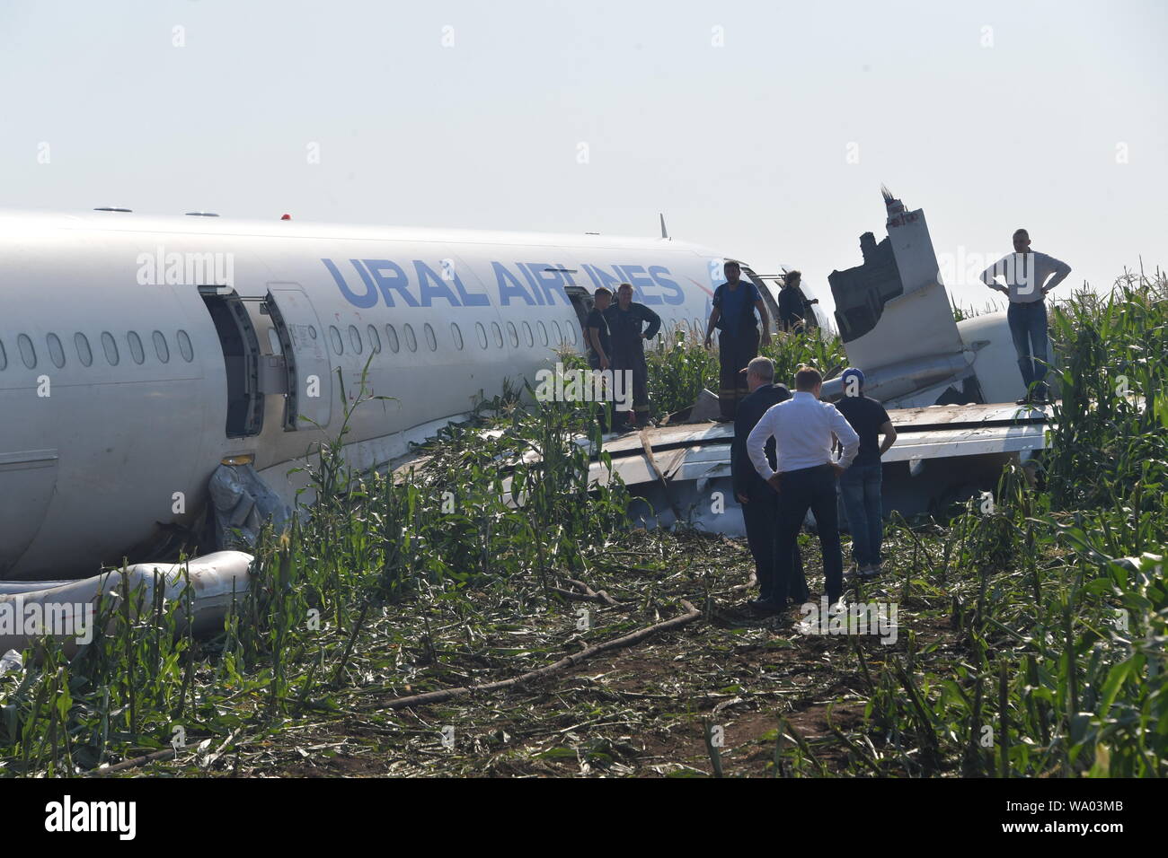 Airbus A321 Crash