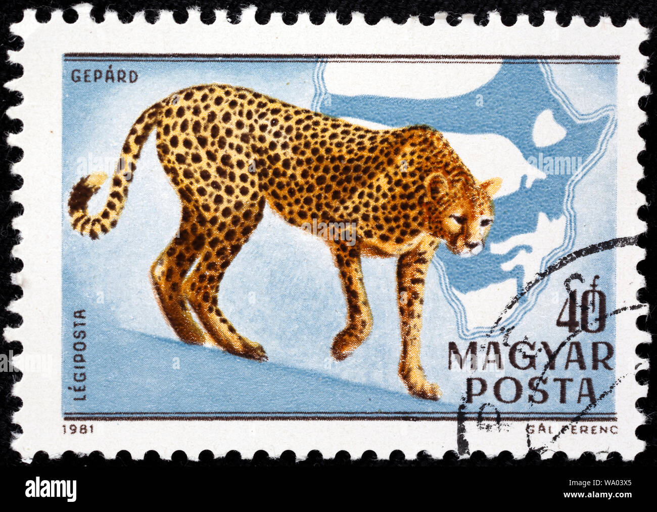 Cheetah, Acinonyx jubatus, postage stamp, Hungary, 1981 Stock Photo - Alamy