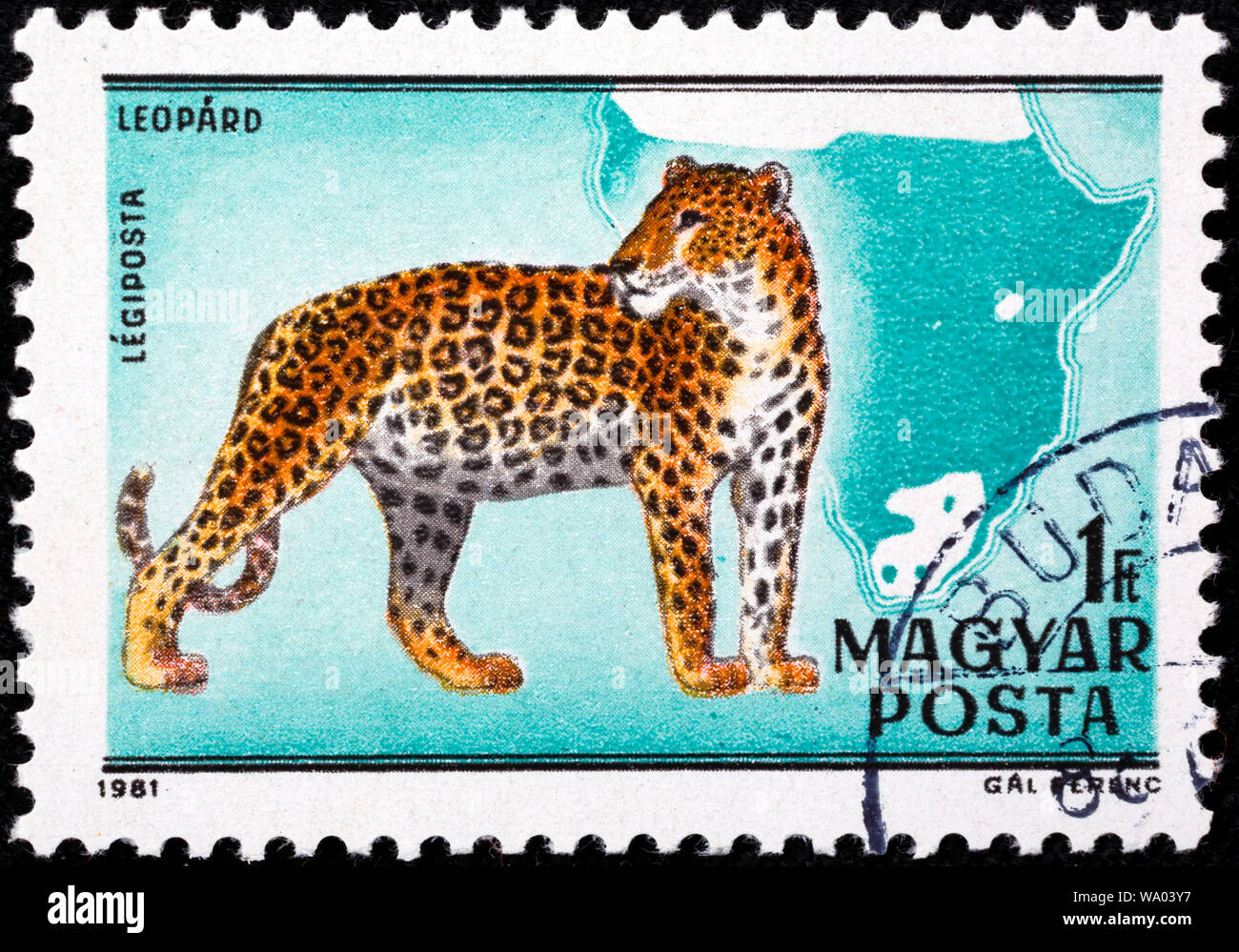 Leopard, Panthera pardus, postage stamp, Hungary, 1981 Stock Photo - Alamy