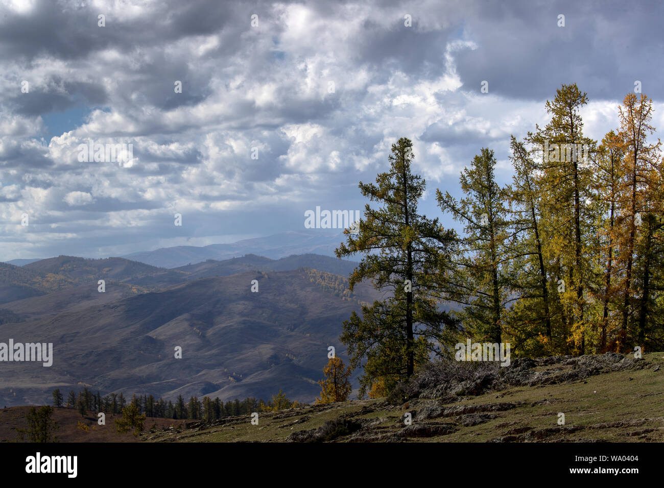 Xinjiang altay scenery Stock Photo - Alamy
