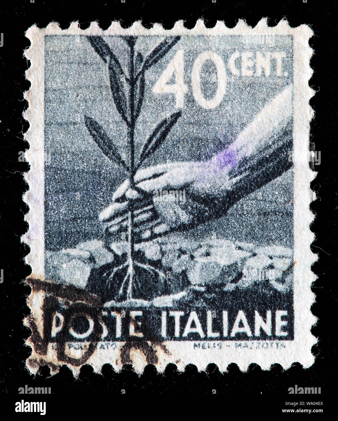 Hand planting an olive tree, postage stamp, Italy, 1945 Stock Photo - Alamy