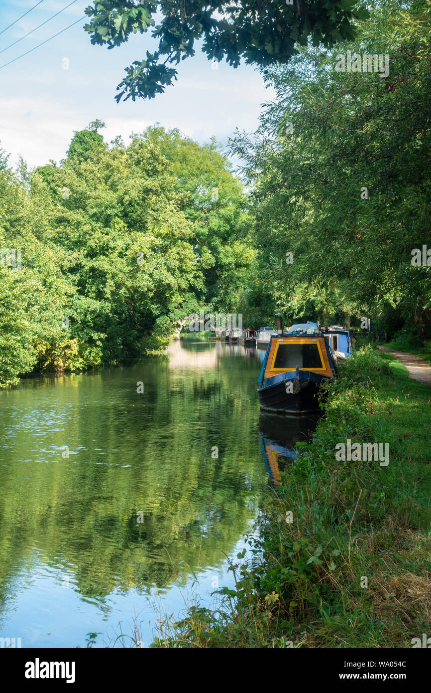 Canal boats moored on the bank of The River Kennet at Reading in ...