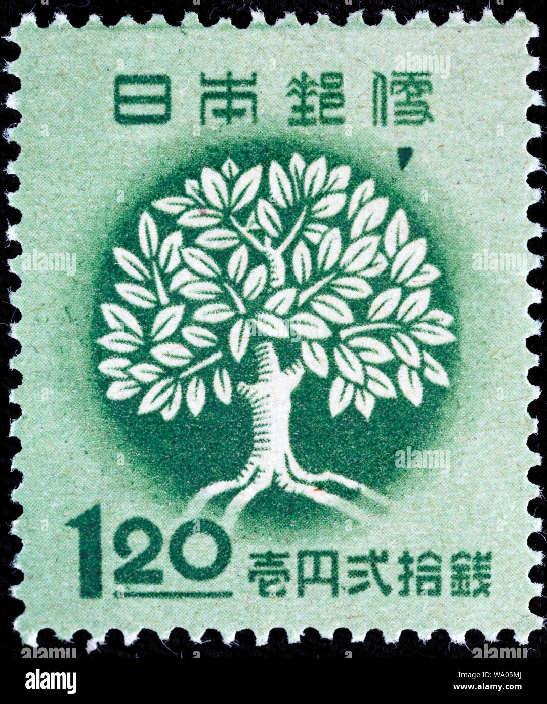 Forest tree, postage stamp, Japan, 1948 Stock Photo - Alamy