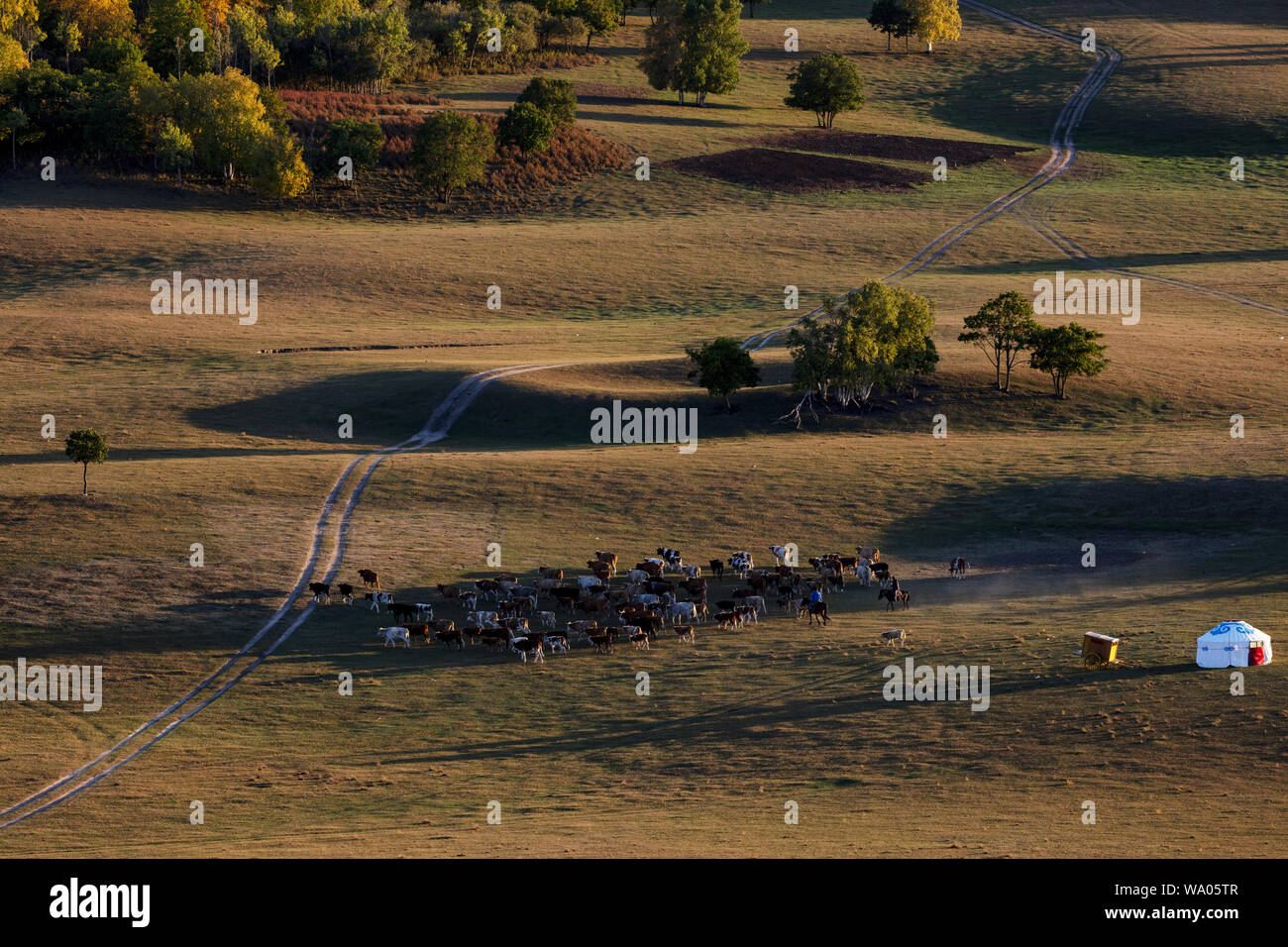 Inner Mongolia dam is ablaze Stock Photo - Alamy