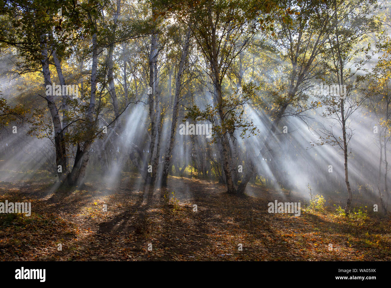 Inner Mongolia dam is ablaze Stock Photo - Alamy