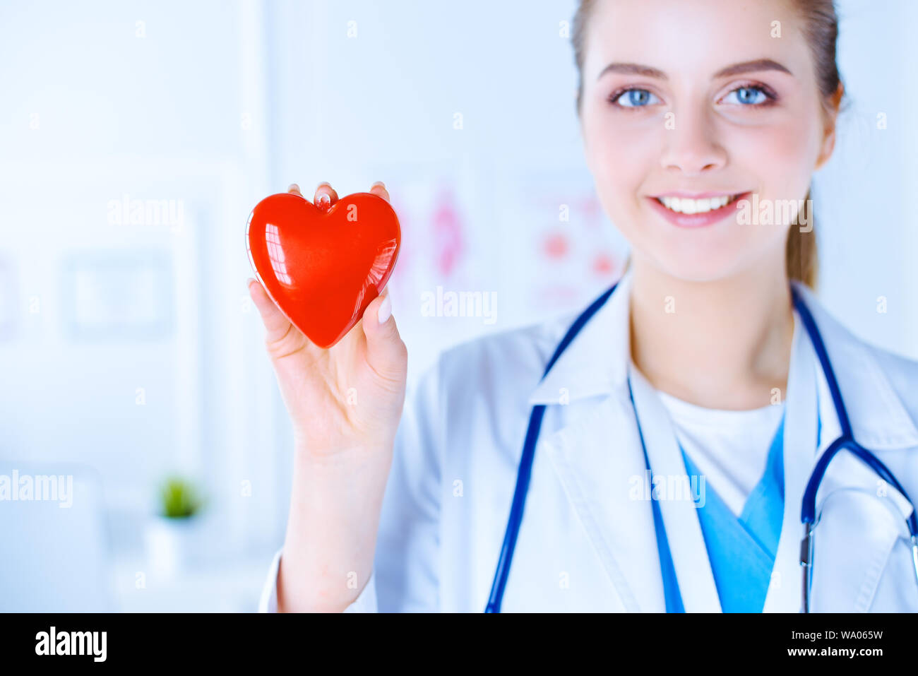 Cardiologist doctor holds a heart in his hand and smiles. Portrait of a ...