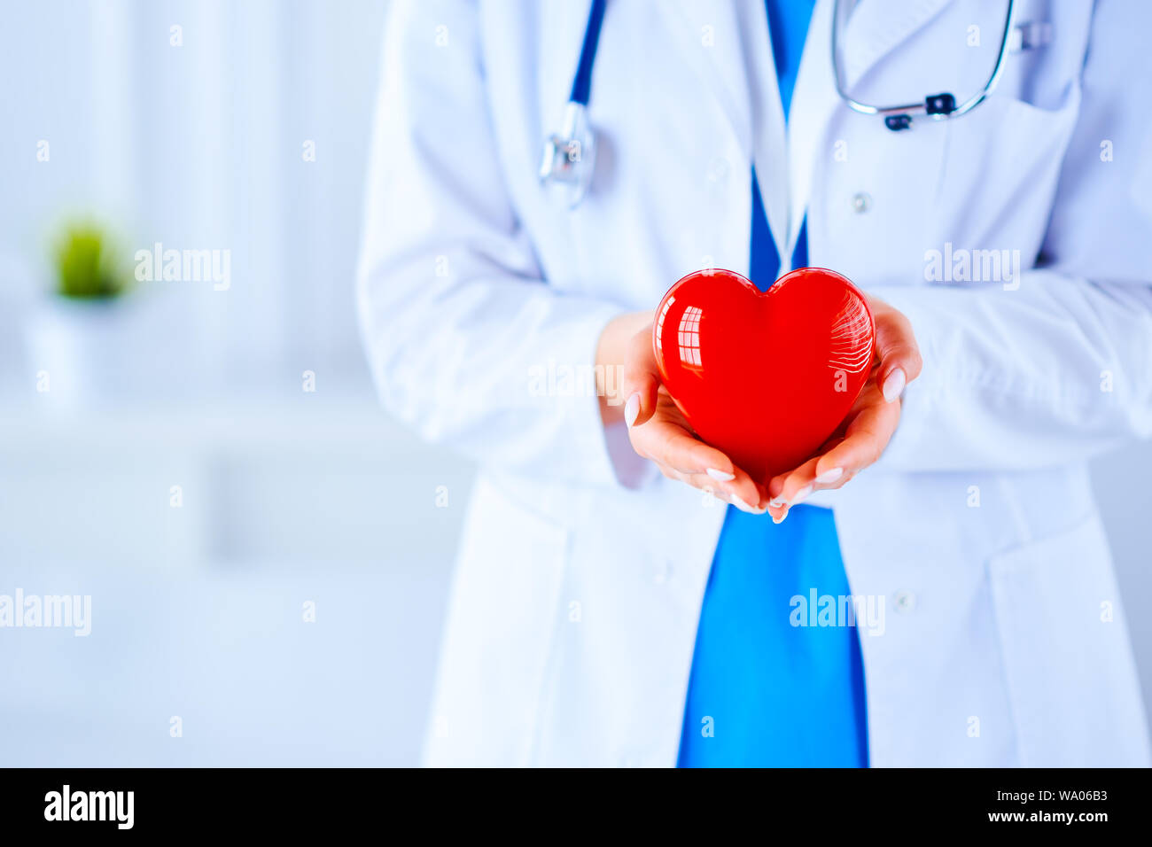 The doctor in the hospital holds a heart in his hands. Cardiologist ...