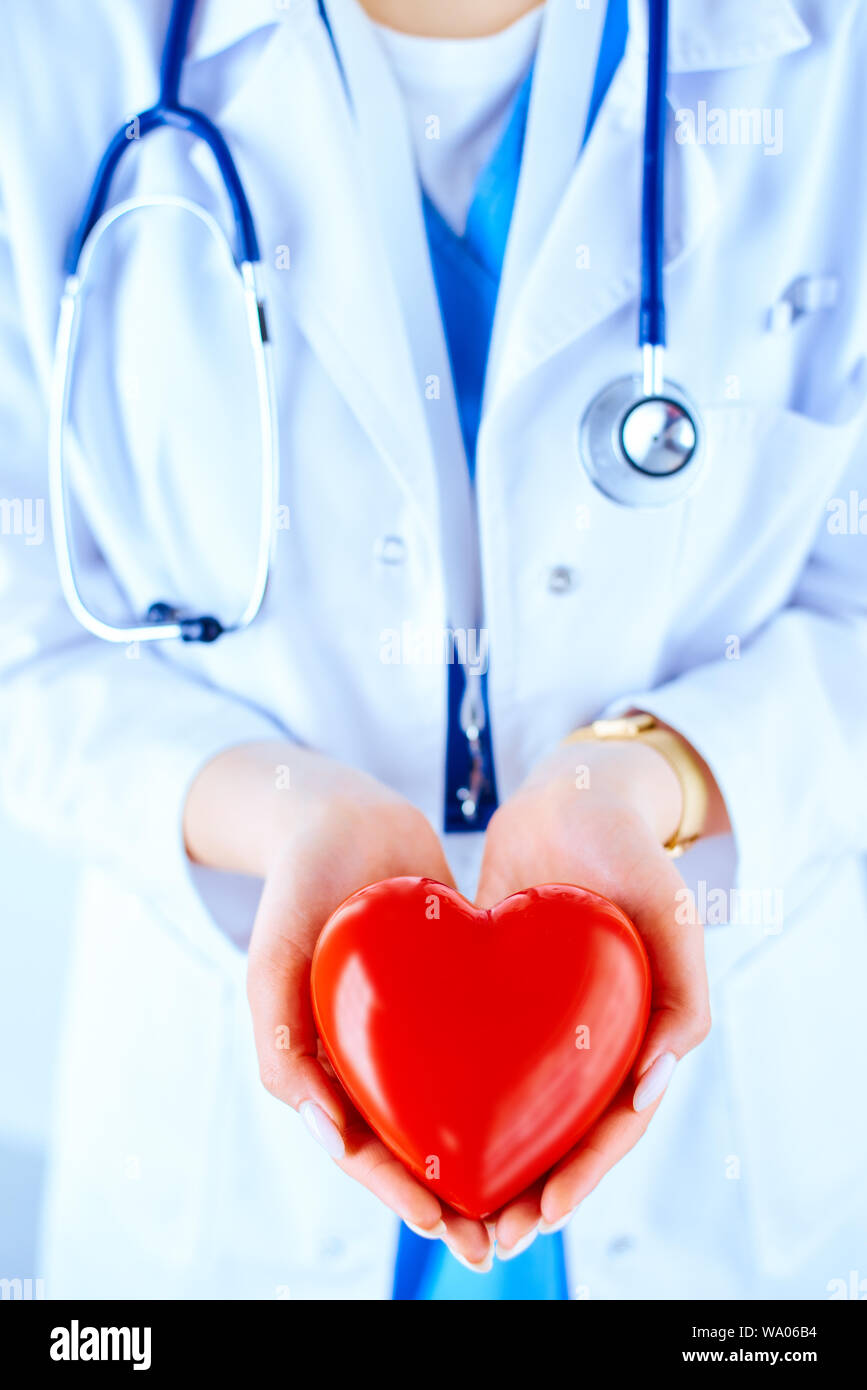 The doctor holds a heart in his hands. Cardiologist examines the heart ...