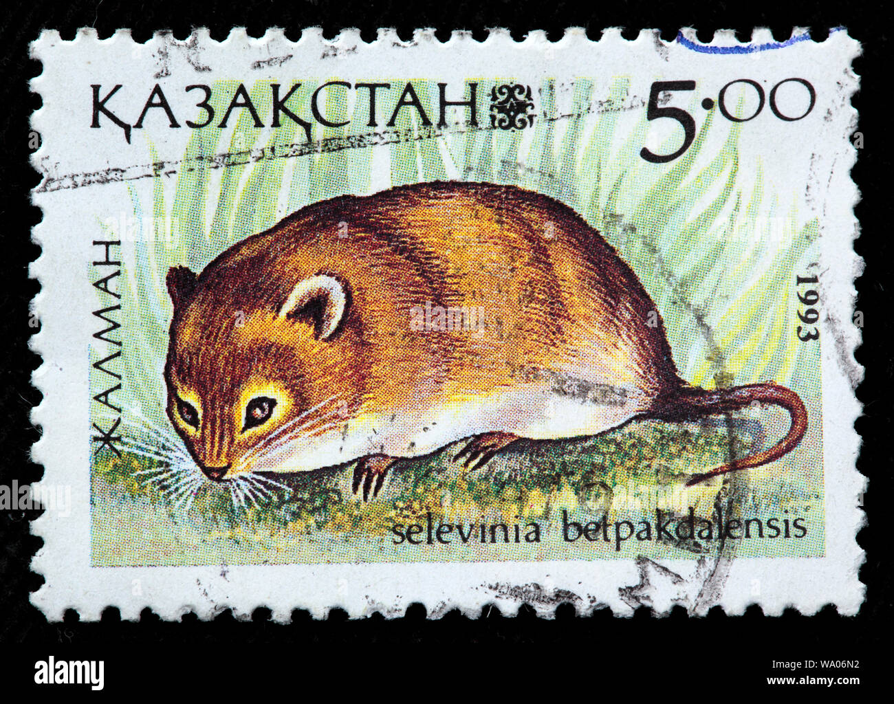 Desert Dormouse, Selevinia betpakdalaensis, postage stamp, Kazakhstan ...