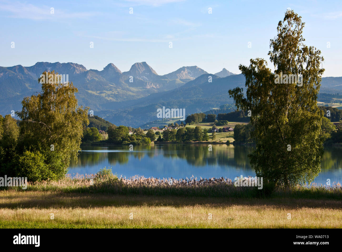 Gerzensee, 30056285 *** Local Caption *** Stock Photo - Alamy