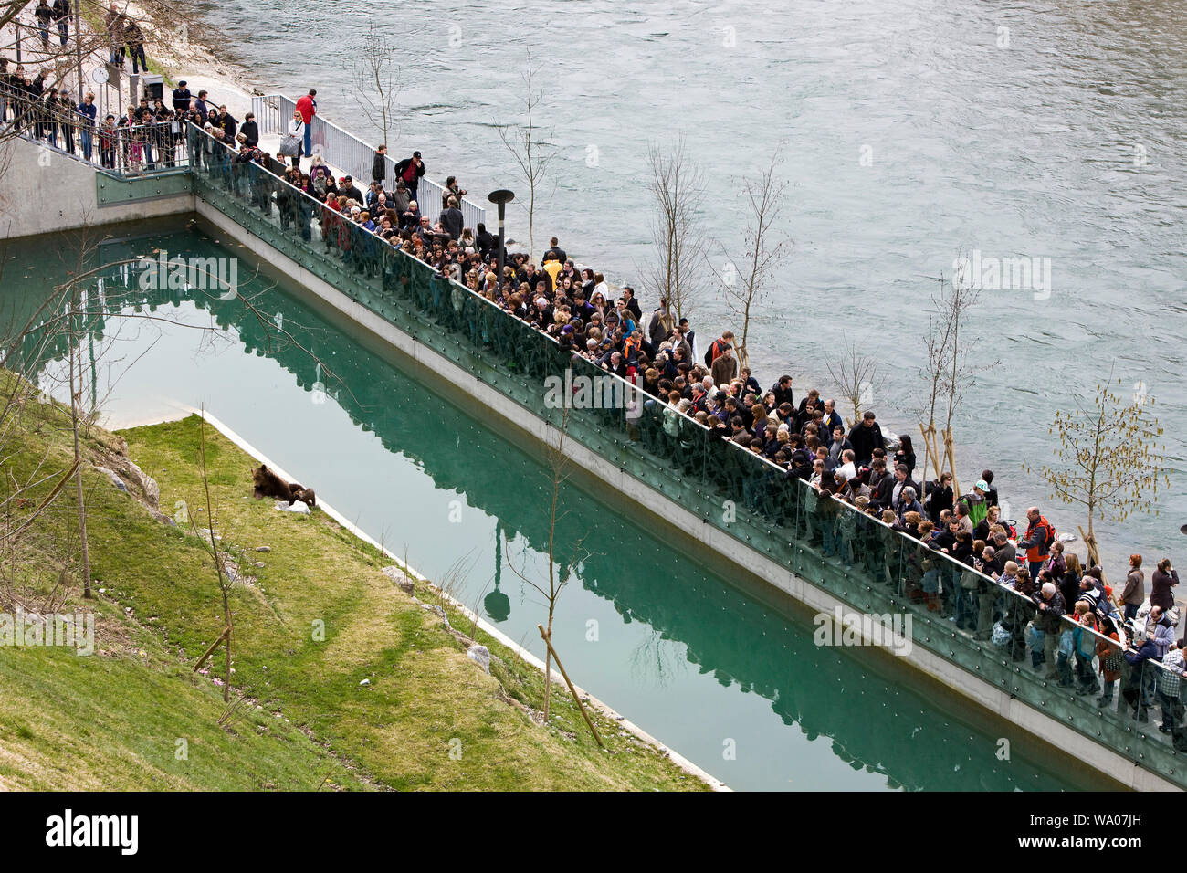 Switzerland, Berne, Bear, Baerenpark Bern , 30057255 *** Local Caption ...