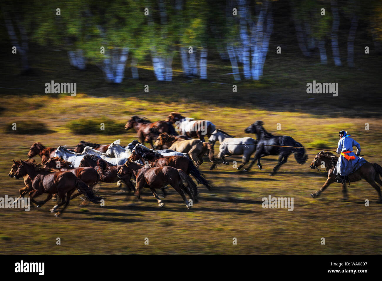 She in Inner Mongolia Stock Photo - Alamy