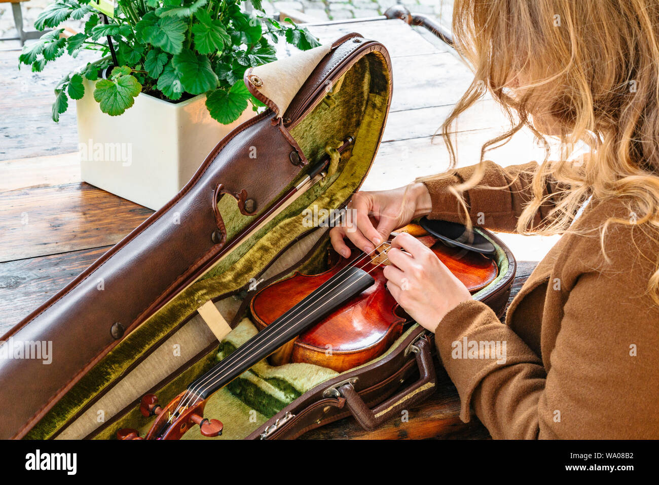 Violinist adjusts neck of violin lying in case Stock Photo - Alamy