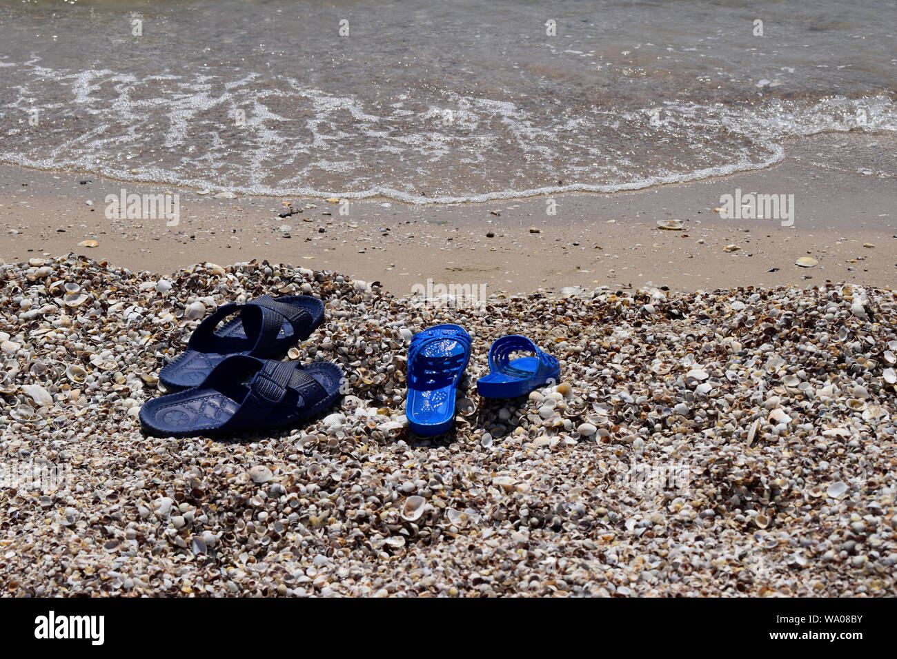 Summer slippers on the beach near the water. Sea shells on a sunny day ...