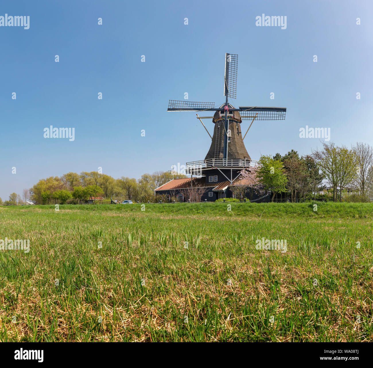 Gallery windmill called Leonide, Anna Paulowna, Noord-Holland Netherlands, 30062955 *** Local ...