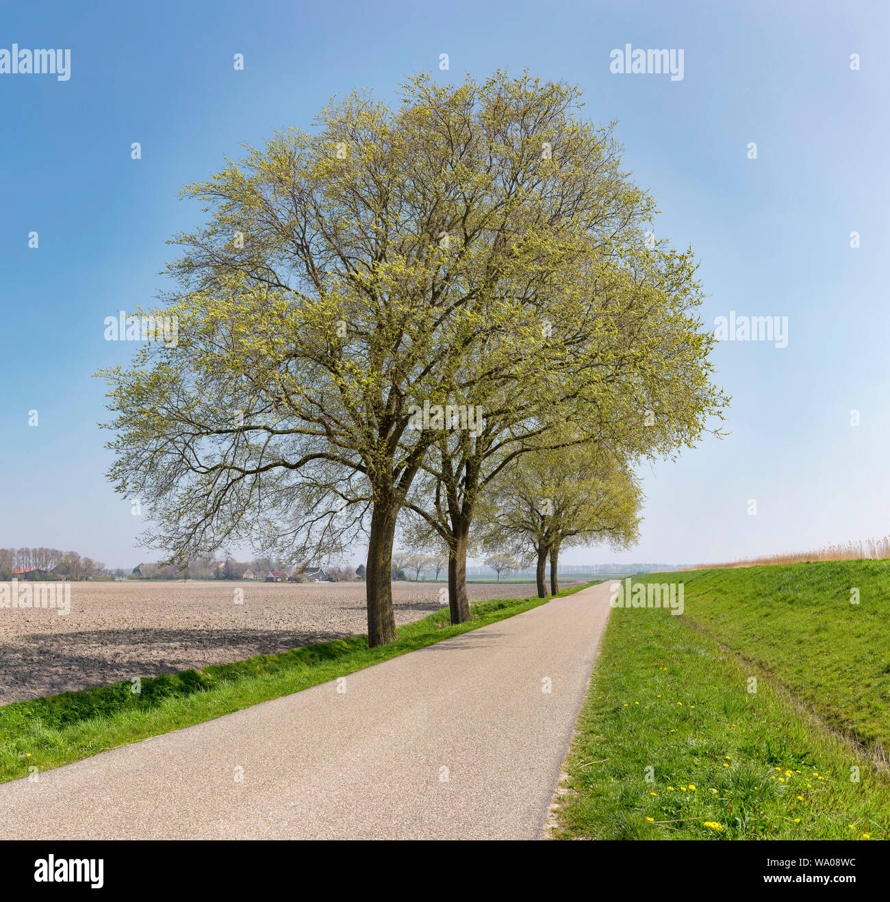 Dike anna hi-res stock photography and images - Alamy