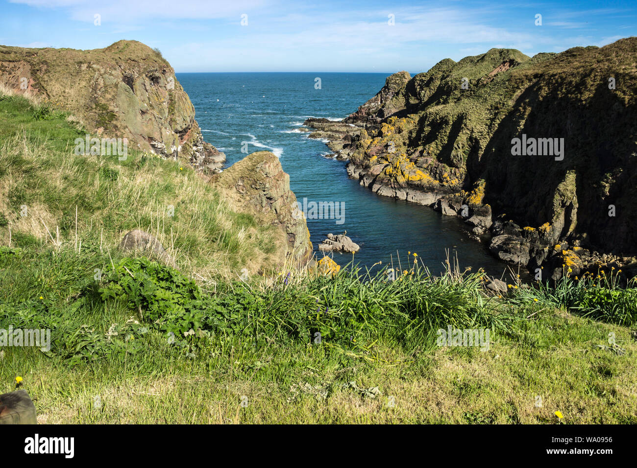 Longhaven Cliffs in Buchan, near Peterhead. Aberdeenshire, Scotland, UK ...