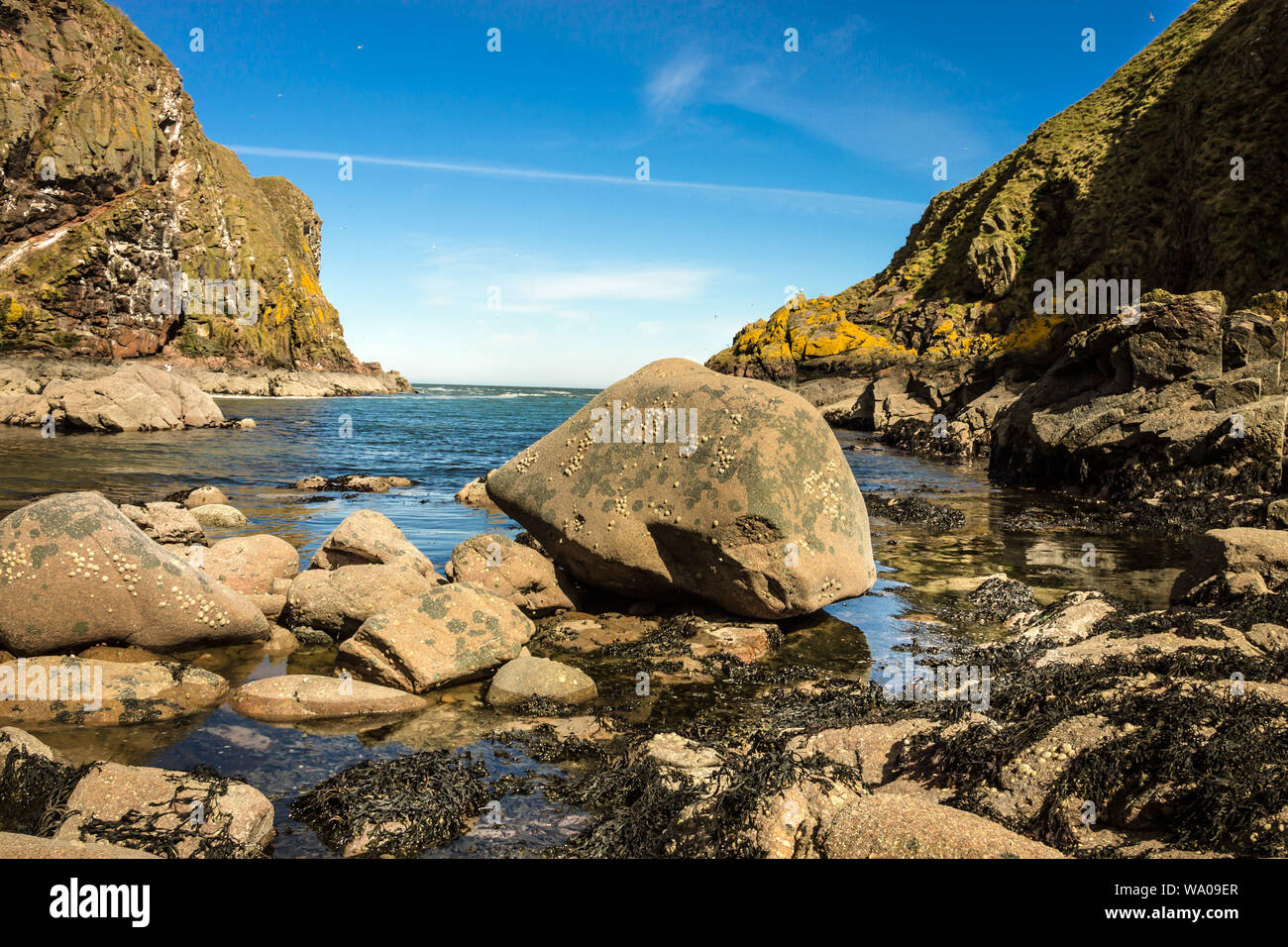 Longhaven cliffs nature reserve hi-res stock photography and images - Alamy