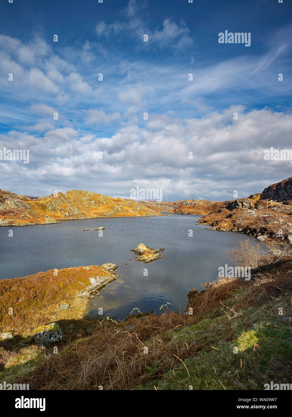 The low spring sun completely changes the dark barren landscape into ...