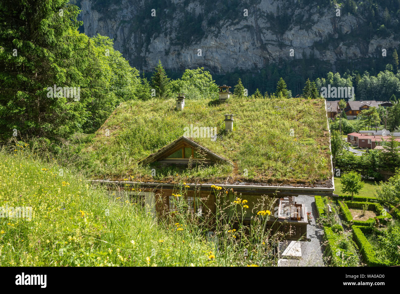 Traditional country house with the use of a grass roof, Lauterbrunnen ...