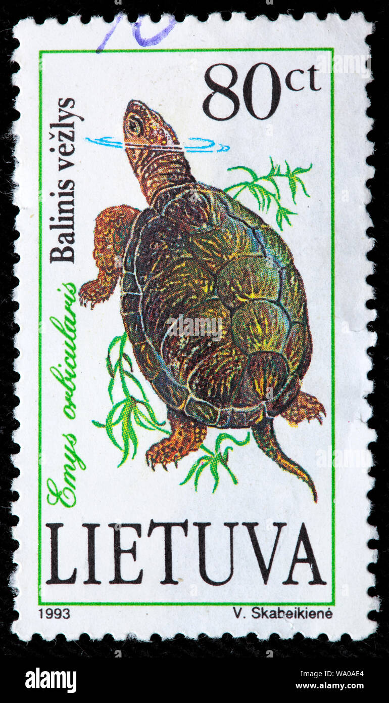 European Pond Turtle, Emys orbicularis, postage stamp, Lithuania, 1993 ...