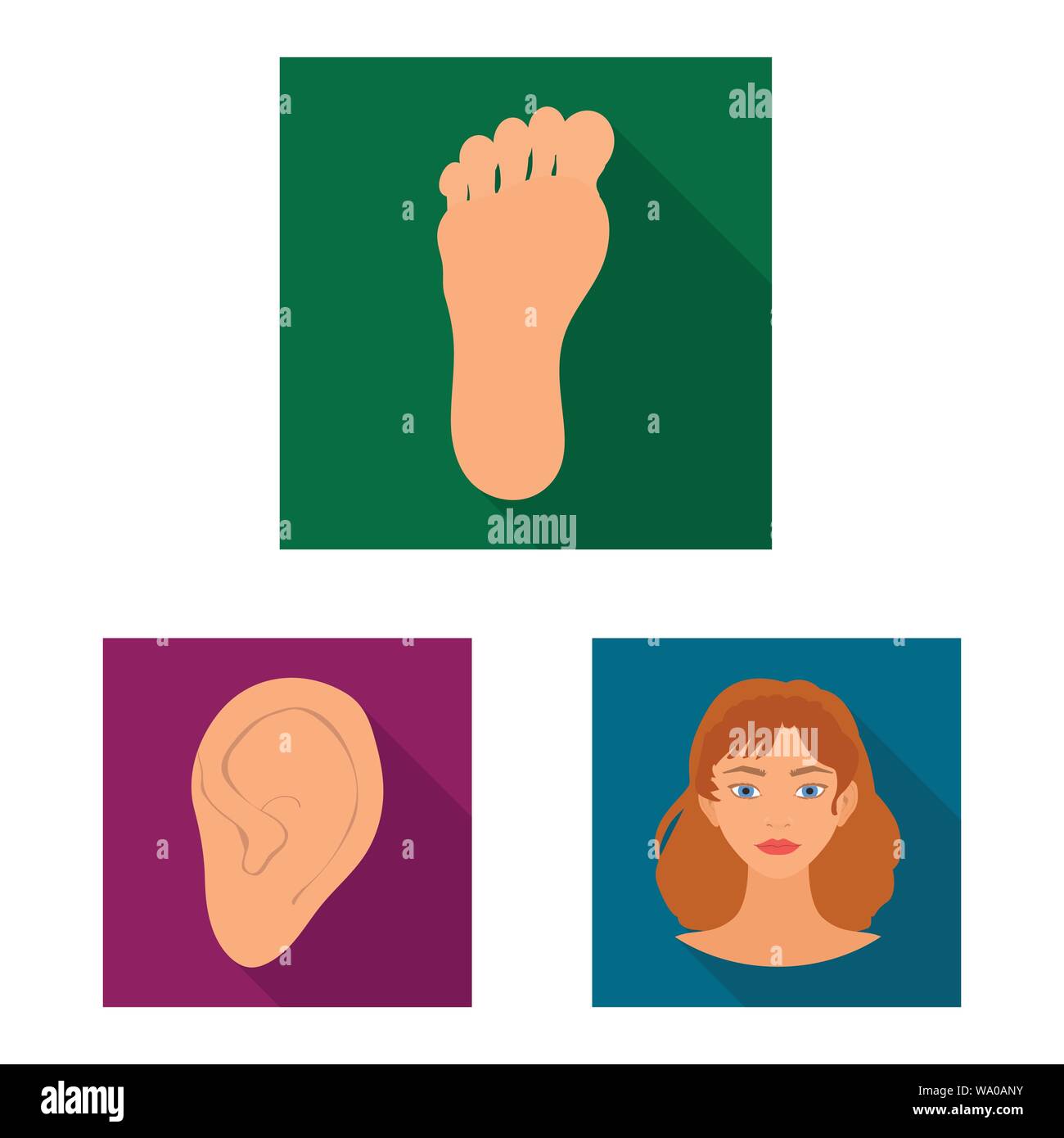 Isolated object of body and part symbol. Set of body and anatomy stock ...