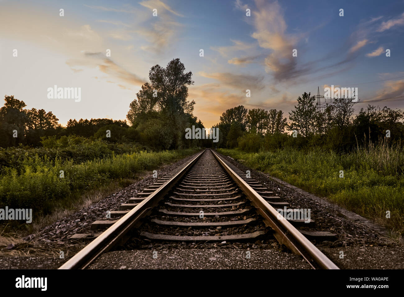 Railroad tracks trees hi-res stock photography and images - Alamy
