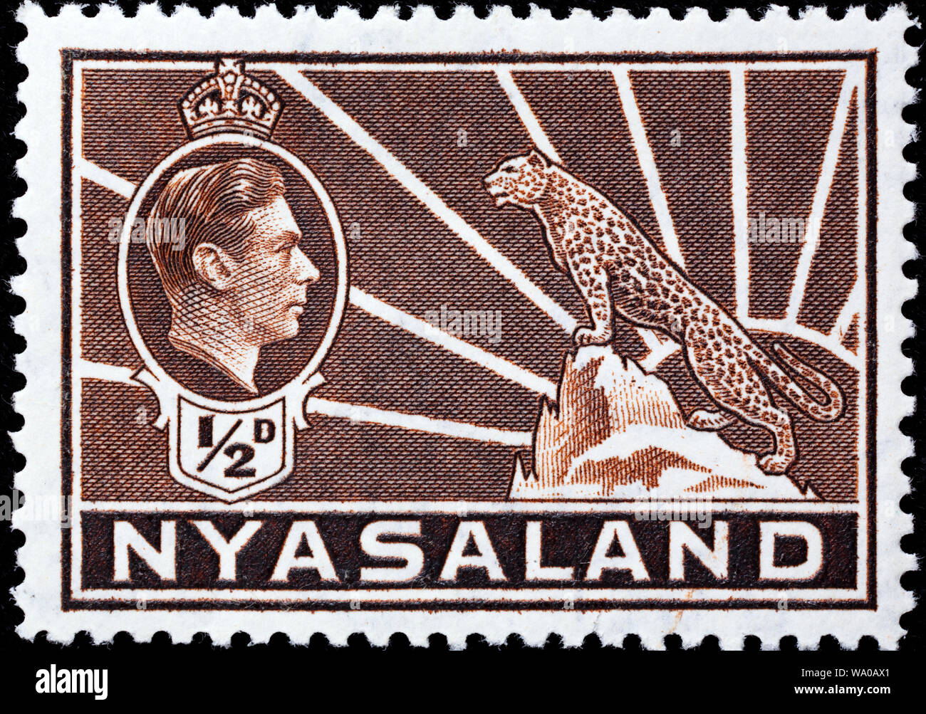 King George VI and Leopard, postage stamp, Nyasaland, 1938 Stock Photo ...