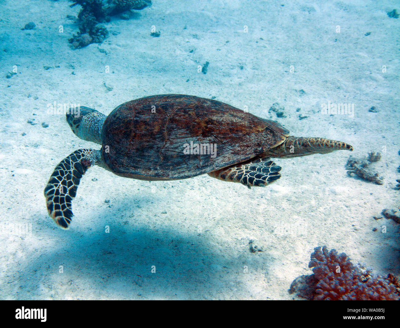 Sandground hi-res stock photography and images - Alamy
