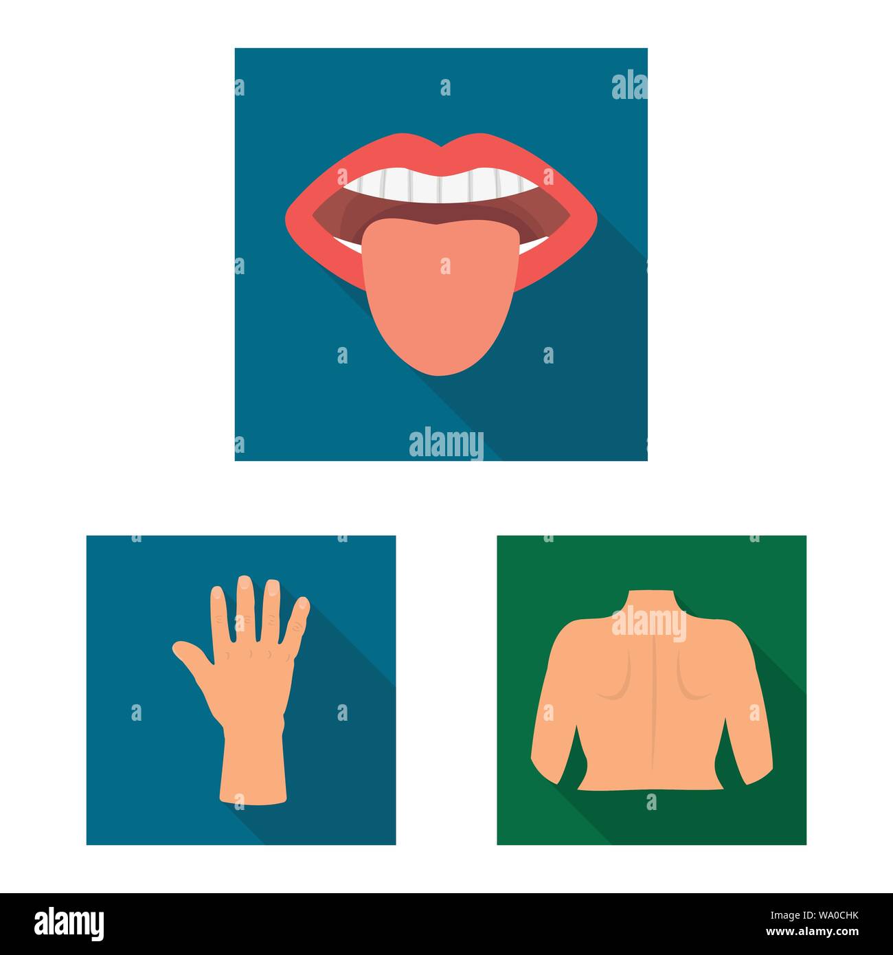 Anatomy man flexing muscles illustration Stock Vector Images - Alamy