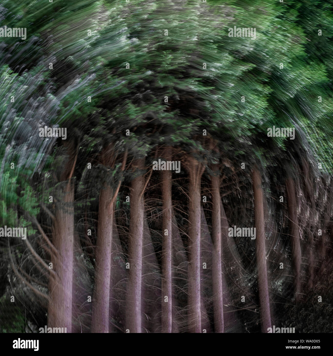 In a whirlwind hi-res stock photography and images - Alamy