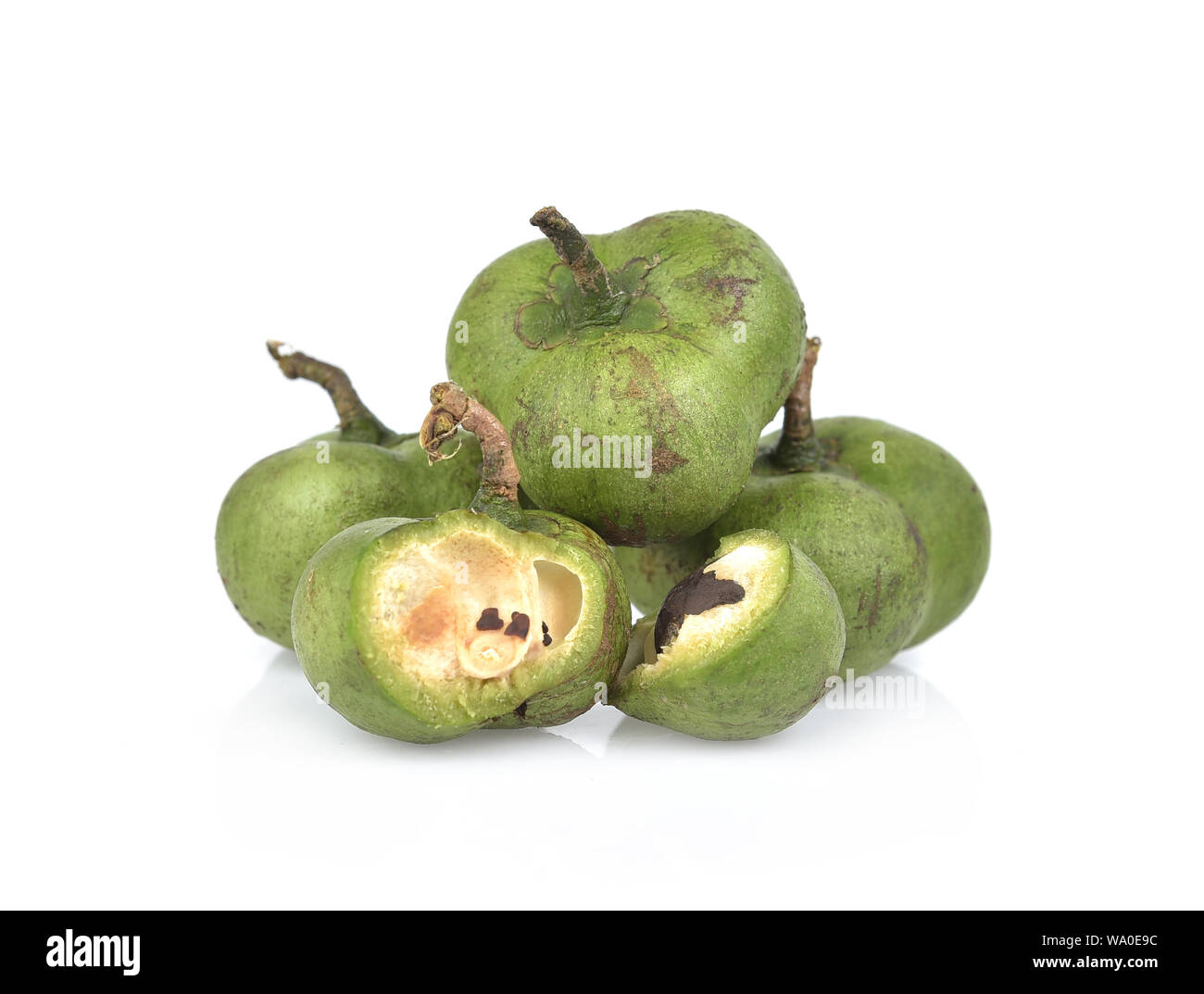 tea seed on white background Stock Photo - Alamy