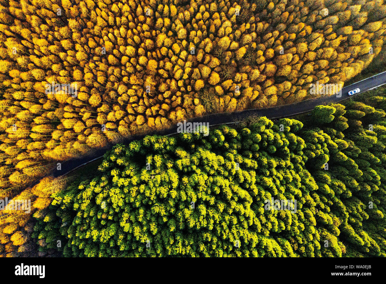 Chongqing mountain karst Wang Ping country forest park is ablaze Stock ...