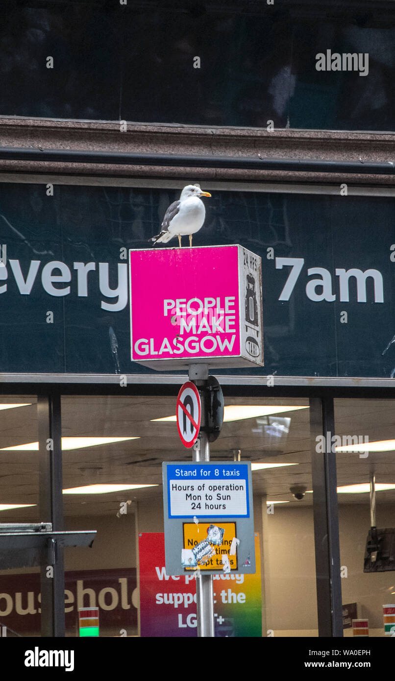 Taxi rank sign glasgow hi-res stock photography and images - Alamy