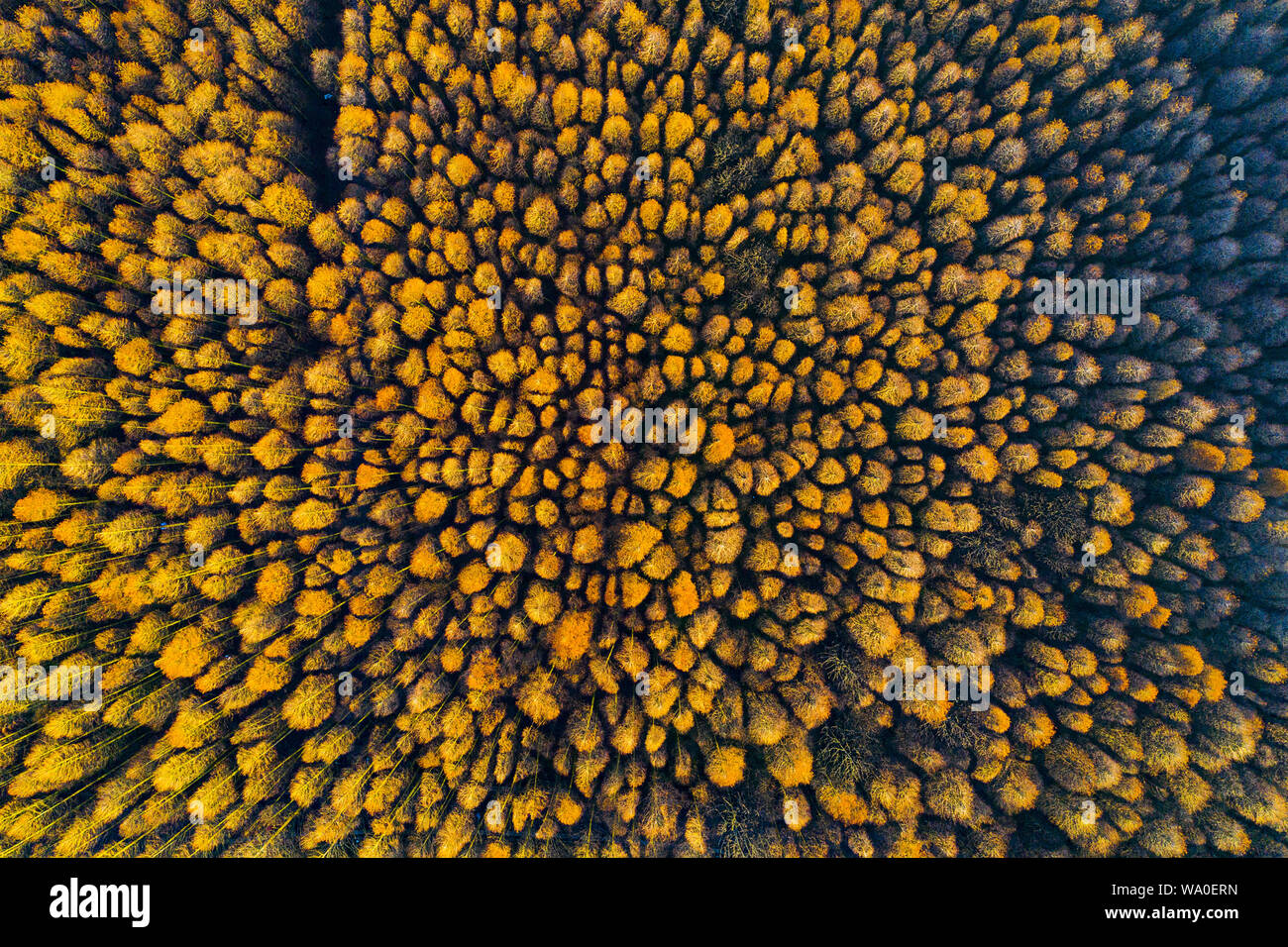 Direction mountain hi-res stock photography and images - Alamy