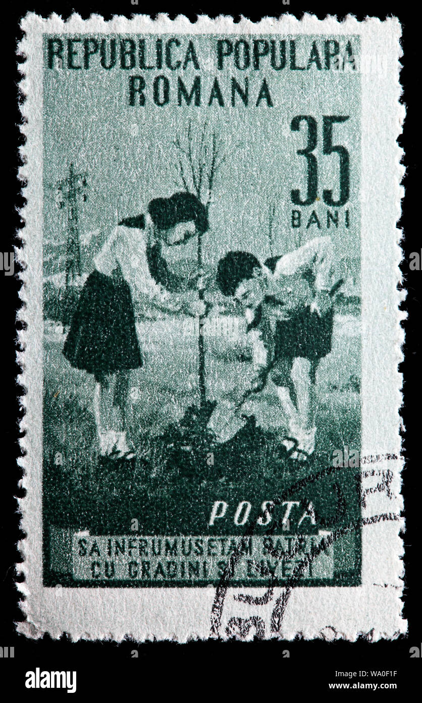 Pioneers planting a tree, postage stamp, Romania, 1953 Stock Photo - Alamy