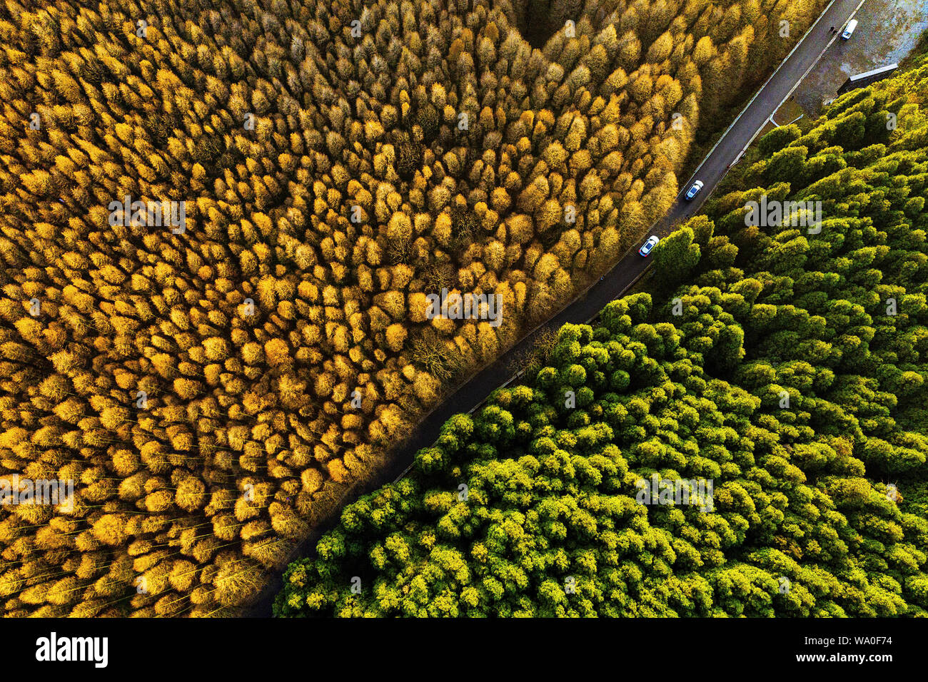 Chongqing mountain karst Wang Ping country forest park is ablaze Stock ...