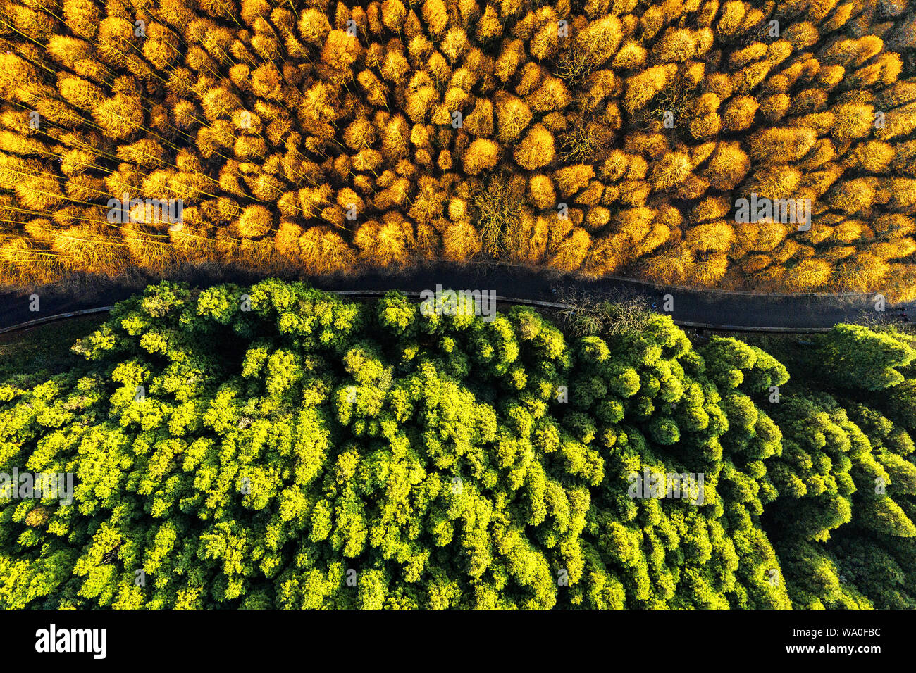 Chongqing mountain karst Wang Ping country forest park in autumn Stock ...