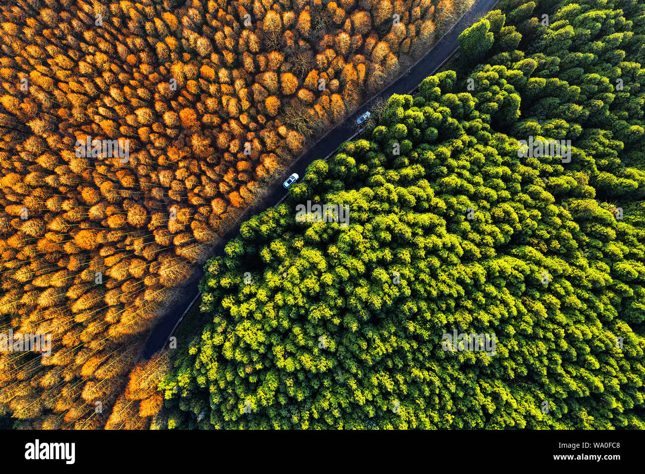 Chongqing mountain karst Wang Ping country forest park in autumn Stock ...