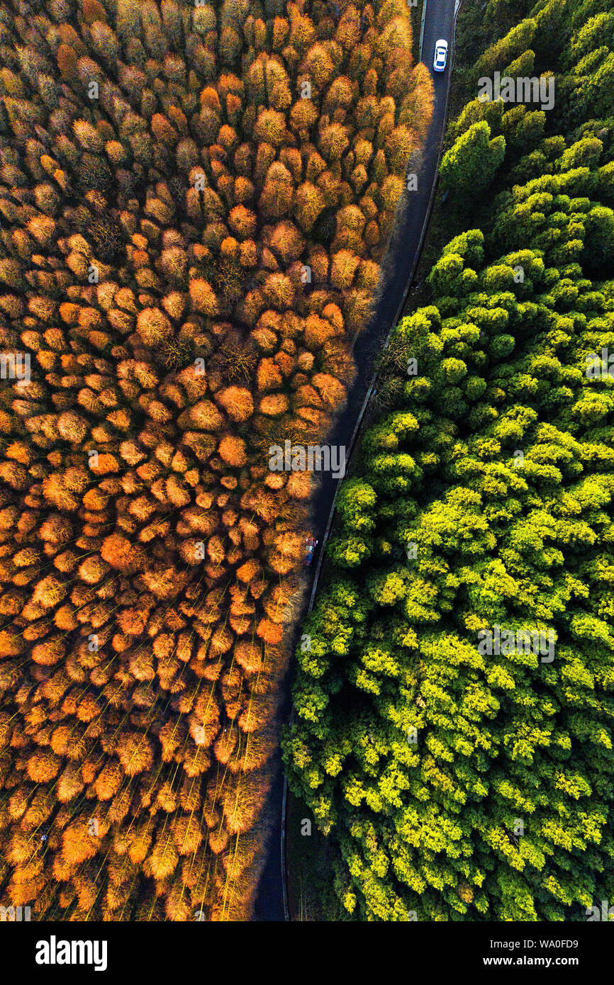 Chongqing mountain karst Wang Ping country forest park in autumn Stock ...