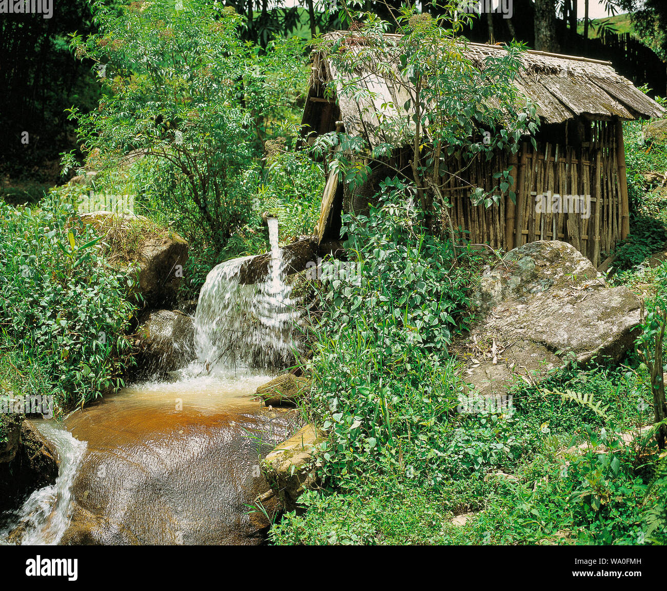 Simple made of bamboo watering rice fields method around Sapa, Vietnam ...