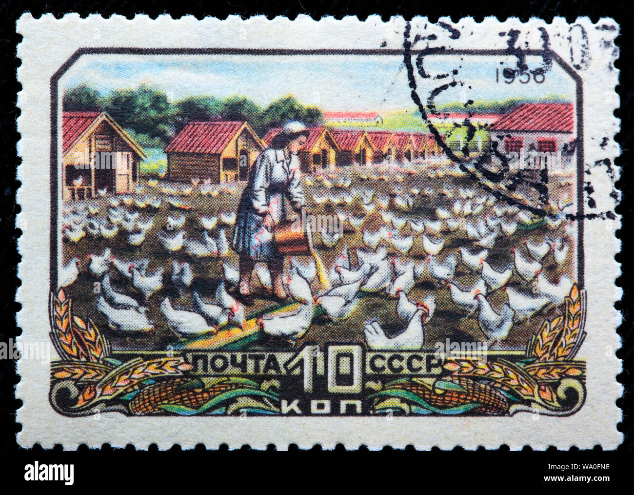 Poultry farm, postage stamp, Russia, USSR, 1956 Stock Photo - Alamy