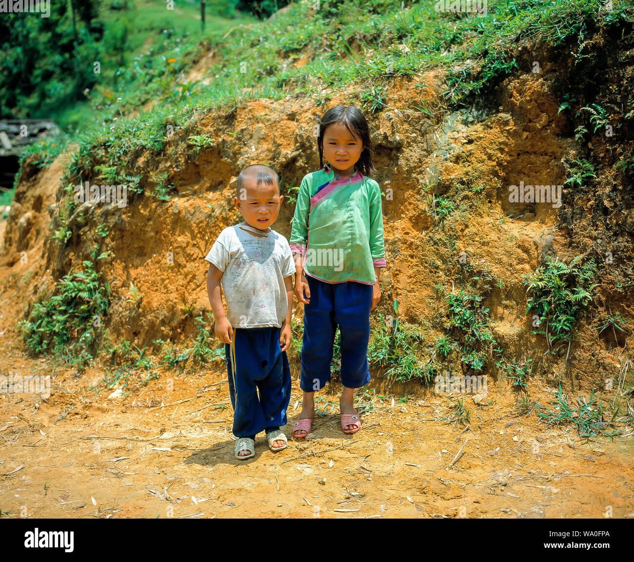 Hmong children, girl and boy observing photographer in village nearby ...